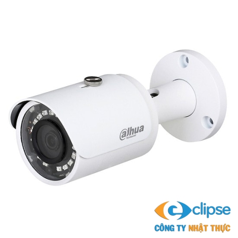 Camera Giám Sát DSS DS2230FIP - 2.0 Megapixel, Hồng Ngoại 30m, Chuẩn IP67